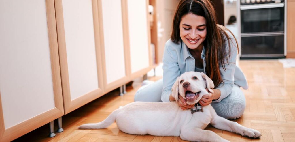 Optimaler Tagesablauf Welpe - Haustier-News: "Welpen"