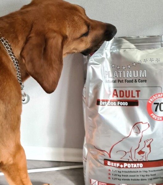 Vergleichstest der Trockenfuttersorten Genesis und PLATINUM getreidefrei